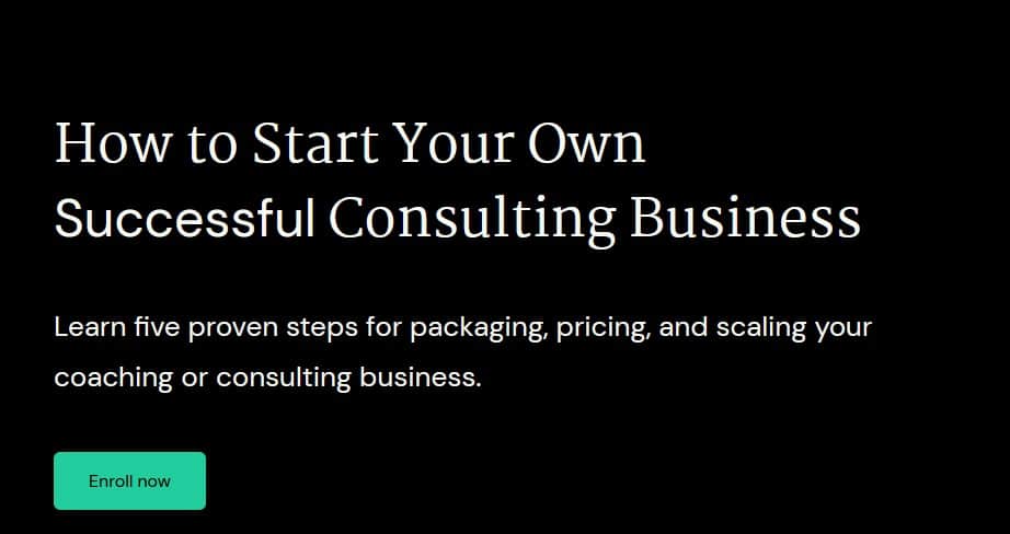 Download How to Start Your Own Successful Consulting Business by Terry Rice Today